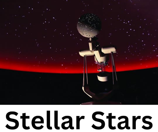 Stellar Stars | Cuyahoga County Board of Developmental Disabilities